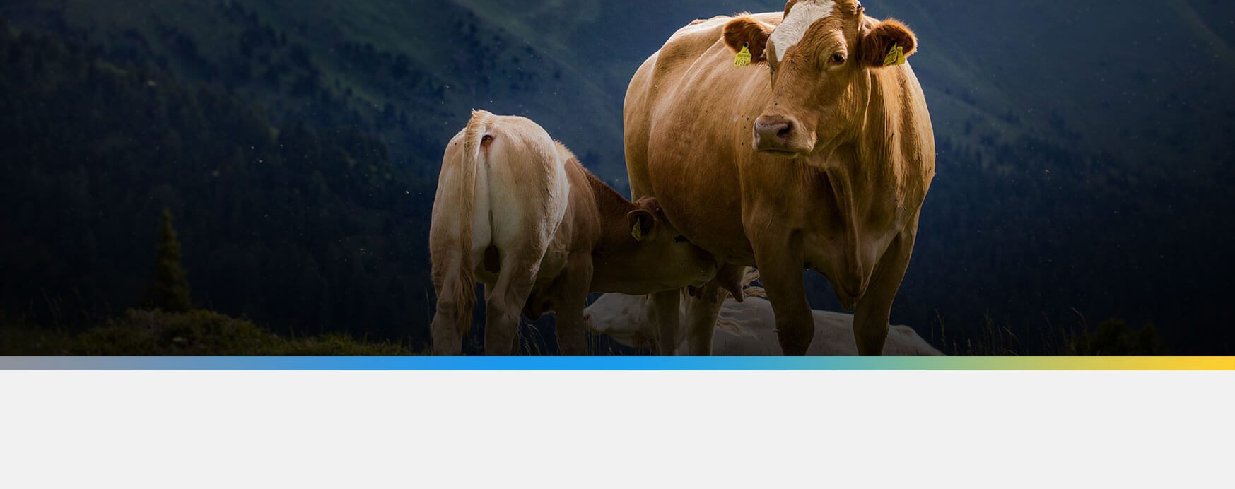 APB Group – Agriculture, Production and Business